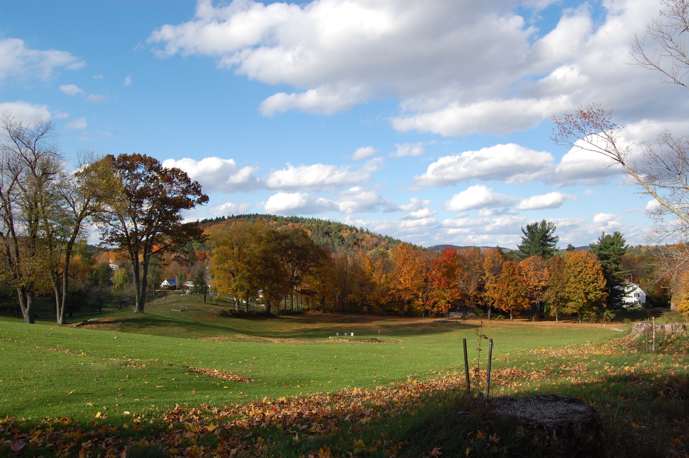 gorgeous sky above fall foliage | The Ripest Pics